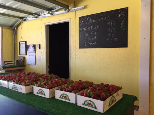 STRAWBERRY STAND - Updated December 2025 - 19 Photos & 30 Reviews ...