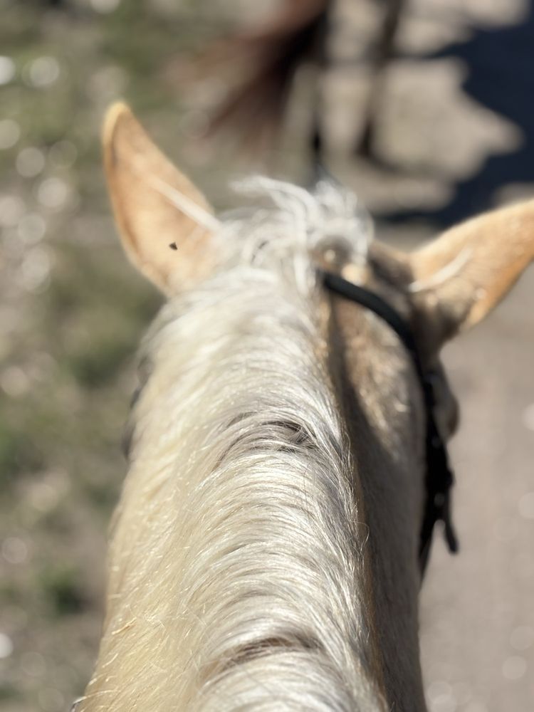 RIVER RANCH RV RESORT - Updated December 2025 - 33 Photos & 22 Reviews ...