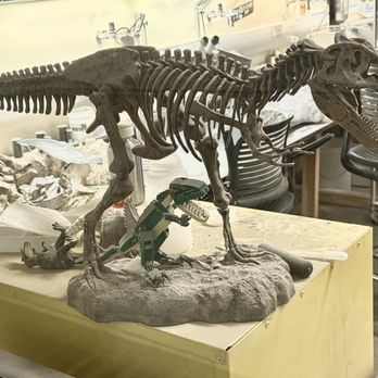 Natural History Museum of Utah - Trusted Since 2009 - Updated July 2025 ...