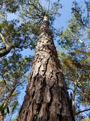 VICTORIA BLUFF HERITAGE PRESERVE - Updated September 2025 - 21 Photos ...