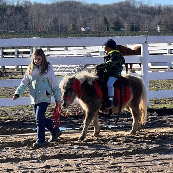 DUTCHMAN TREE FARMS - Updated October 2025 - 9689 W Walker Rd, Manton ...