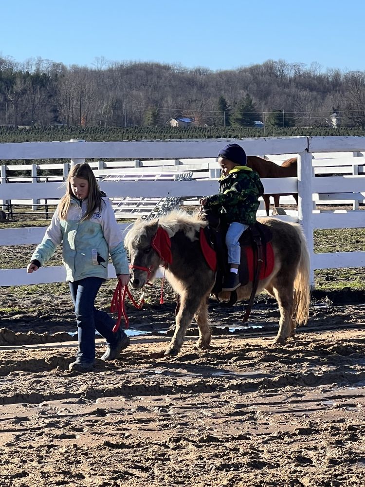 DUTCHMAN TREE FARMS - Updated October 2025 - 9689 W Walker Rd, Manton ...