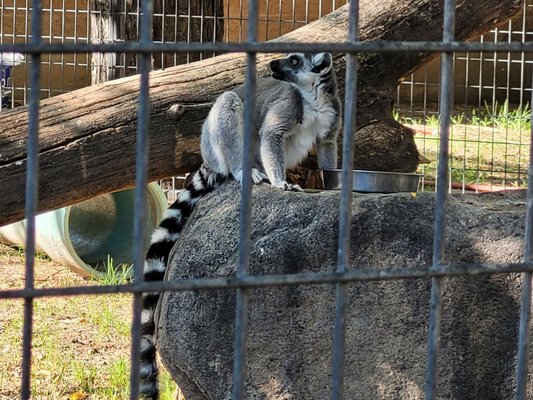 ALAMEDA PARK ZOO - Updated March 2026 - 159 Photos & 54 Reviews - 1021 ...