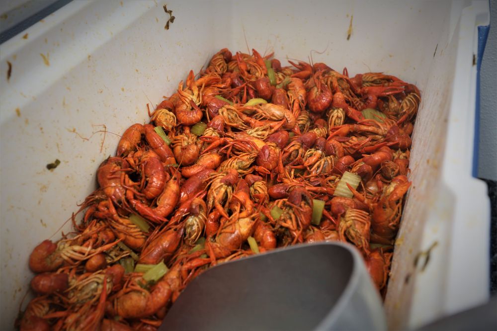 CAJUN SHACK NOLA - 54 Photos & 22 Reviews - Seafood - 9830 Lake Forest ...