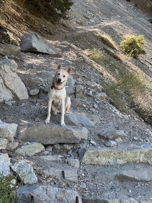 ICE HOUSE CANYON TRAIL - Updated January 2026 - 791 Photos & 129 ...