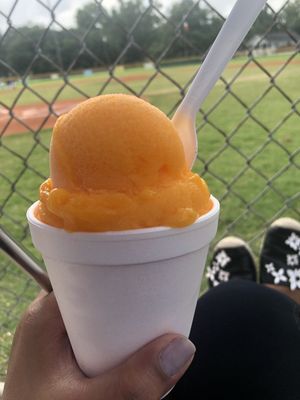 RUNGE PARK - Updated December 2025 - 4605 Peck St, Santa Fe, Texas ...