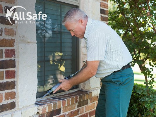 ALL-SAFE PEST & TERMITE - Updated April 2025 - 77 Photos & 93 Reviews ...