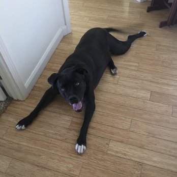 LOMA LINDA ANIMAL HOSPITAL - Updated June 2024 - 222 Photos & 657 ...