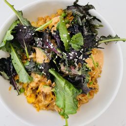 NOLO’S KITCHEN & BAR - 490 Photos & 273 Reviews - 515 N Washington Ave ...