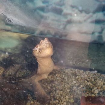 ELLANOR C LAWRENCE PARK - WALNEY VISITORS CENTER - Updated December ...