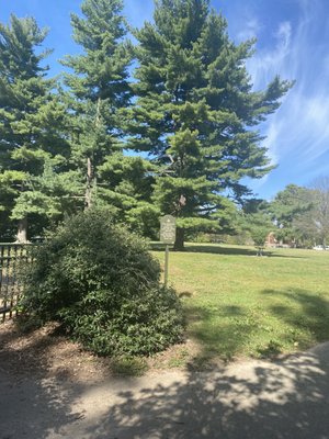 SENECA PARK - Updated July 2025 - 80 Photos & 38 Reviews - 3151 Pee Wee ...