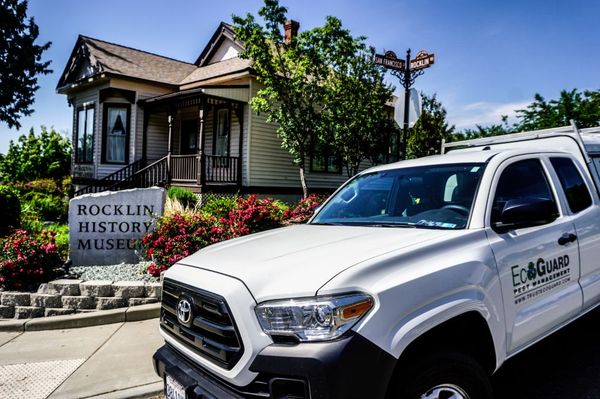 ECOGUARD - Updated October 2025 - 105 Photos - 920 Reviews - 808 ...