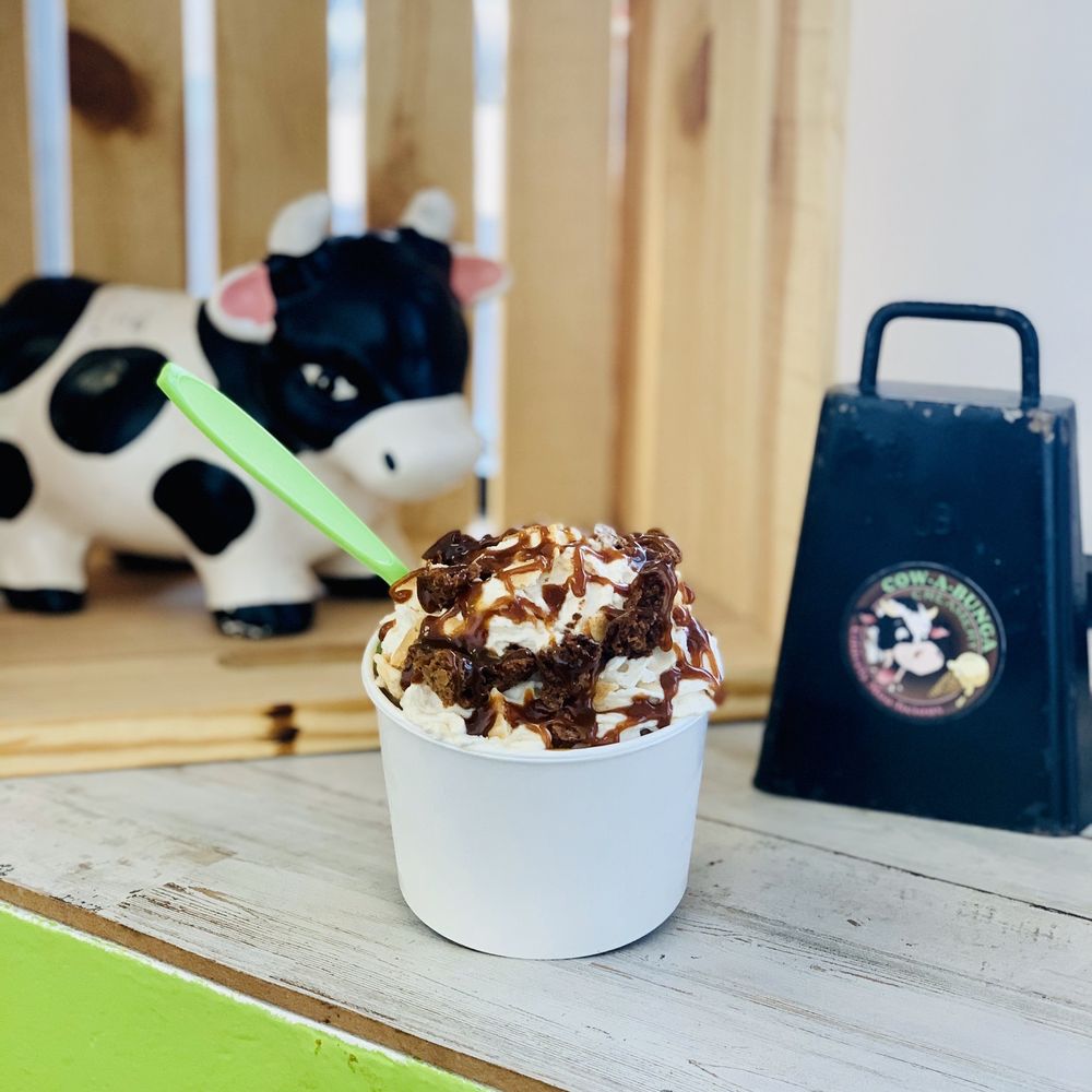 COW-A-BUNGA ICE CREAM - 24 Photos & 26 Reviews - 1455 Coal Creek ...