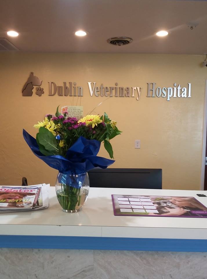 DUBLIN VETERINARY HOSPITAL - Updated July 2025 - 39 Photos & 114 ...