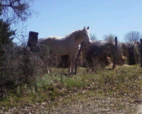 HOMESTEAD HERITAGE - Updated October 2025 - 187 Photos & 95 Reviews ...