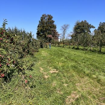 WILKENS FRUIT AND FIR FARM - Updated November 2024 - 350 Photos & 192 ...