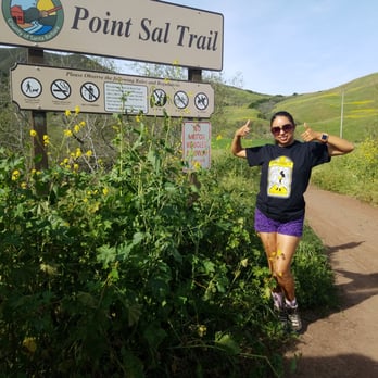 POINT SAL STATE BEACH - Updated December 2025 - 35 Photos - Brown Rd ...