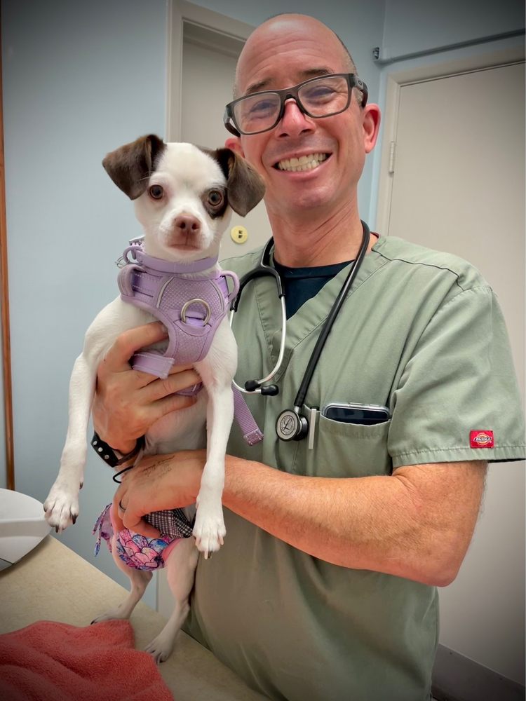 SAN CARLOS ANIMAL HOSPITAL - Updated July 2025 - 101 Photos & 180 ...