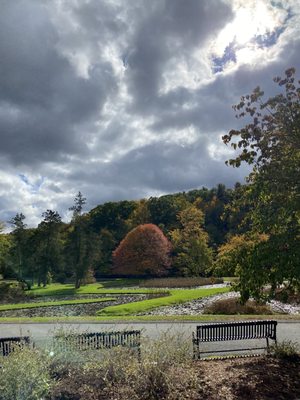 FOREST PARK - Updated October 2025 - 118 Photos & 16 Reviews - 299 ...