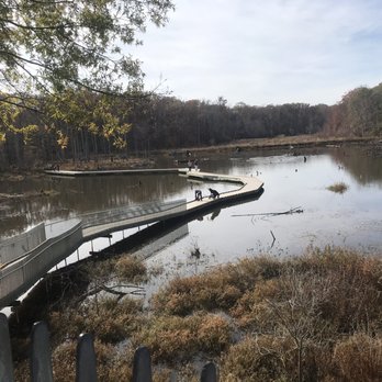 HUNTLEY MEADOWS PARK - Updated December 2024 - 384 Photos & 113 Reviews ...