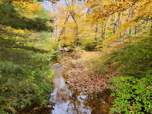 LAUGHING BROOK WILDLIFE SANCTUARY - 793 Main St, Hampden, Massachusetts ...