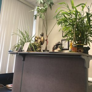 DARYL BERMAN ,DC - 16 Photos & 50 Reviews - 1303 A St, Hayward, CA - Yelp