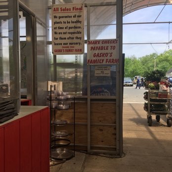 GASKO’S FAMILY FARMS - Updated November 2024 - 92 Photos & 186 Reviews ...