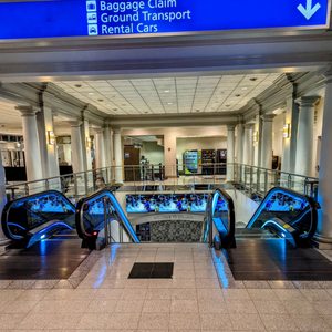 BLUE RIBBON TAXI CAB - 11 Reviews - 6400 Main St, Columbia, South ...