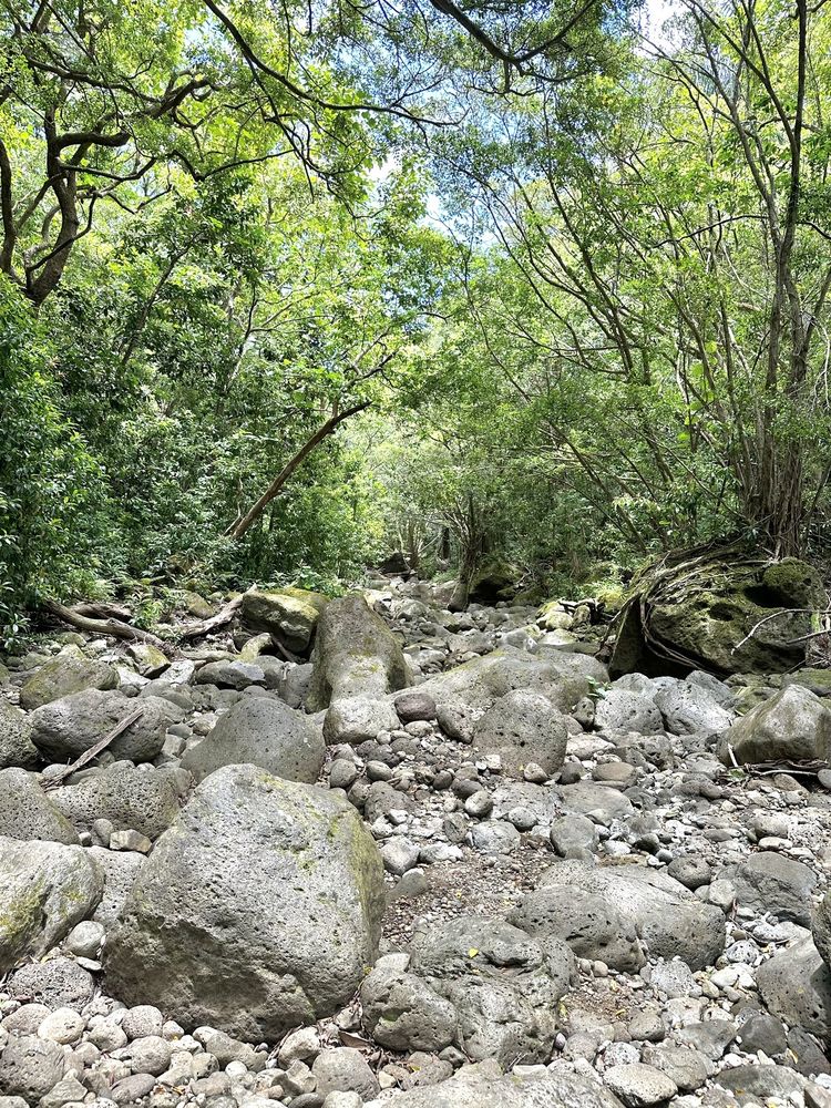 KALAUAO TRAIL - Updated January 2026 - 78 Photos & 17 Reviews - 99-1849 ...