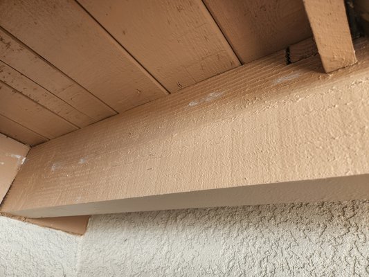 KILTER TERMITE & PEST CONTROL - Updated July 2025 - 23 Photos & 150 ...