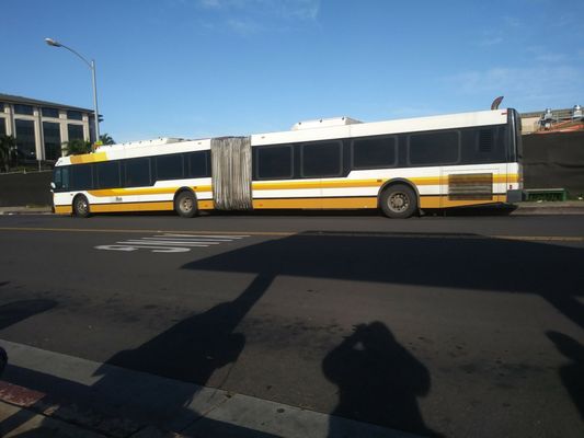 OAHU TRANSIT SERVICES - Updated December 2025 - 811 Middle St, Honolulu ...