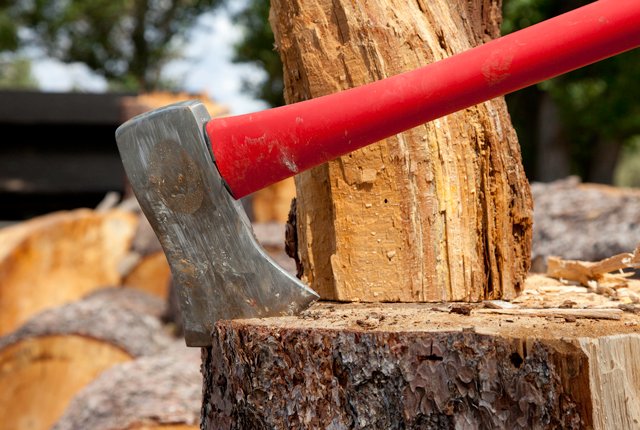 DUBOIS TREE SERVICE - Updated September 2025 - 10 Photos & 13 Reviews ...