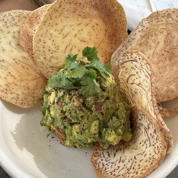 GREAT WHITE - Updated July 2024 - 1155 Photos & 615 Reviews - 244 N ...