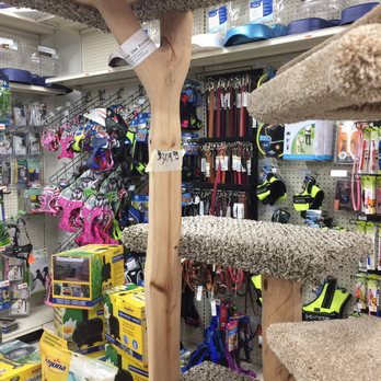 MINI PET MART - Updated October 2025 - 47 Photos & 11 Reviews - 1740 N ...