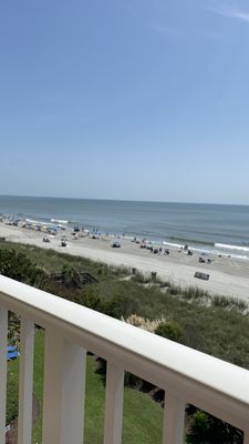 JADE TREE COVE - Updated August 2025 - 13 Photos - 200 75th Ave N ...