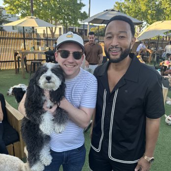 DOG PPL - Updated December 2025 - 130 Photos & 116 Reviews - 3440 Ocean ...