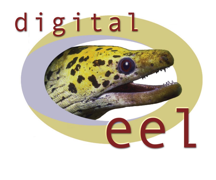 DIGITAL EEL - Updated August 2024 - Request Consultation - 9524 Blind ...