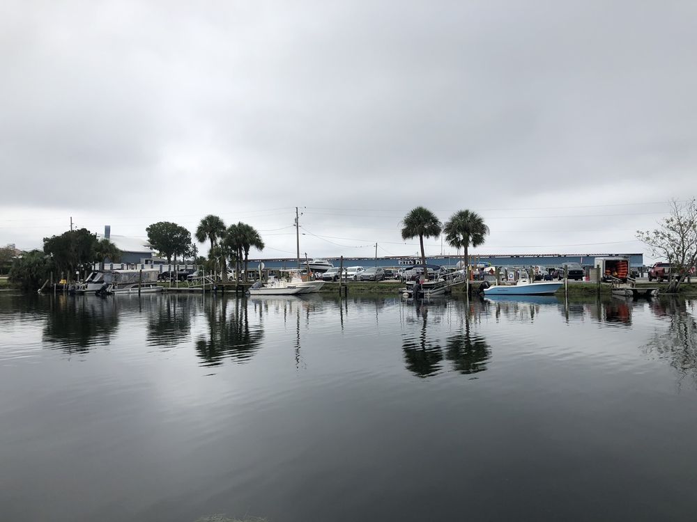 Fun 2 Dive Manatee Tours, Crystal River | Roadtrippers