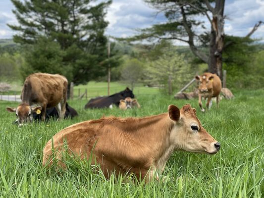 GOULD FARM - Updated January 2026 - 100 Gould Rd, Monterey ...