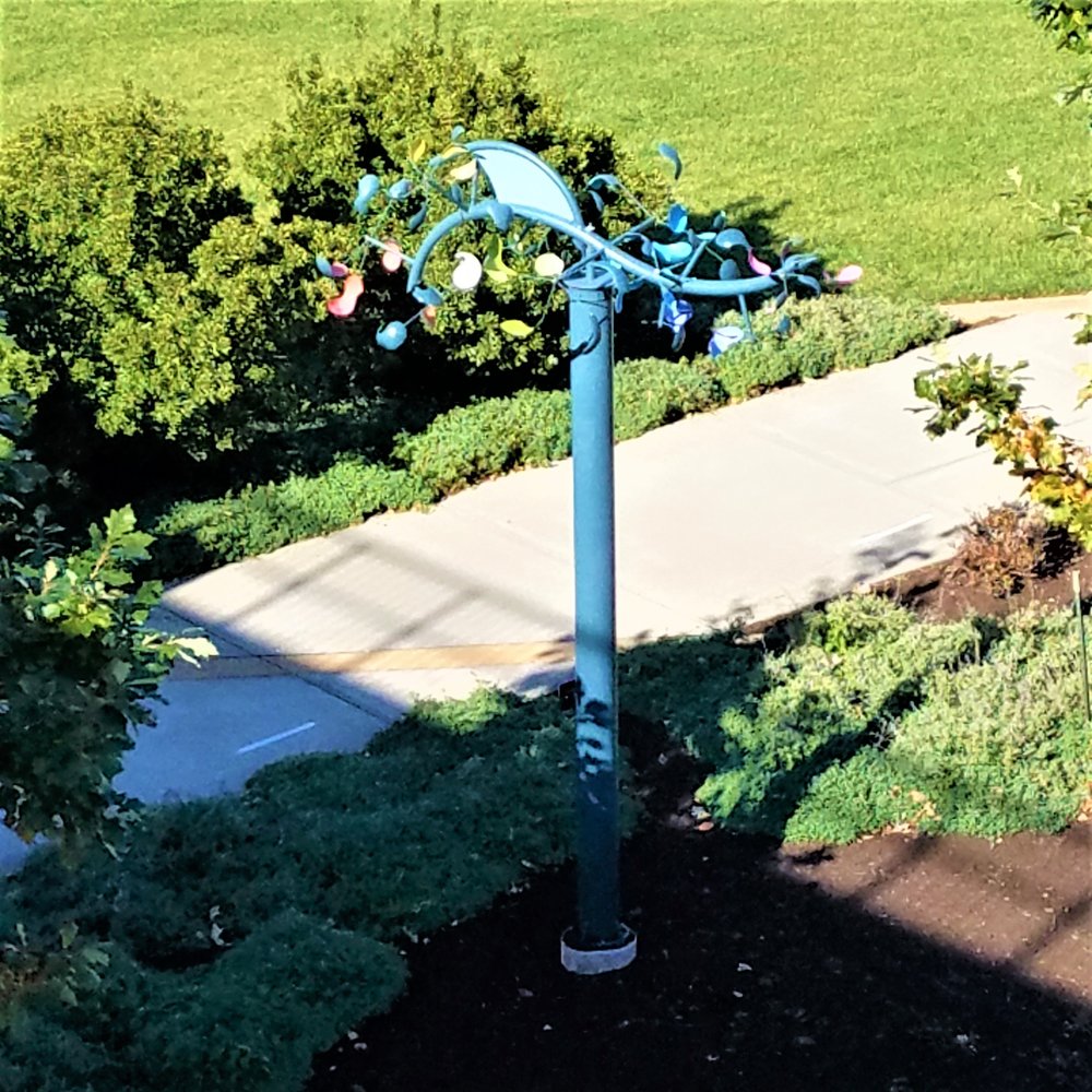 ZEPHYR GALLERY - 30 Photos - Art Galleries - 610 E Market St ...