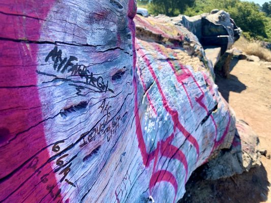 GRIZZLY PEAK - Updated May 2024 - 315 Photos & 144 Reviews - Old Fish ...