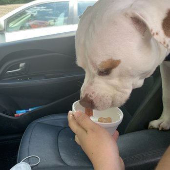 JONES HUMDINGER - Updated December 2025 - 40 Photos & 52 Reviews - 1441 ...