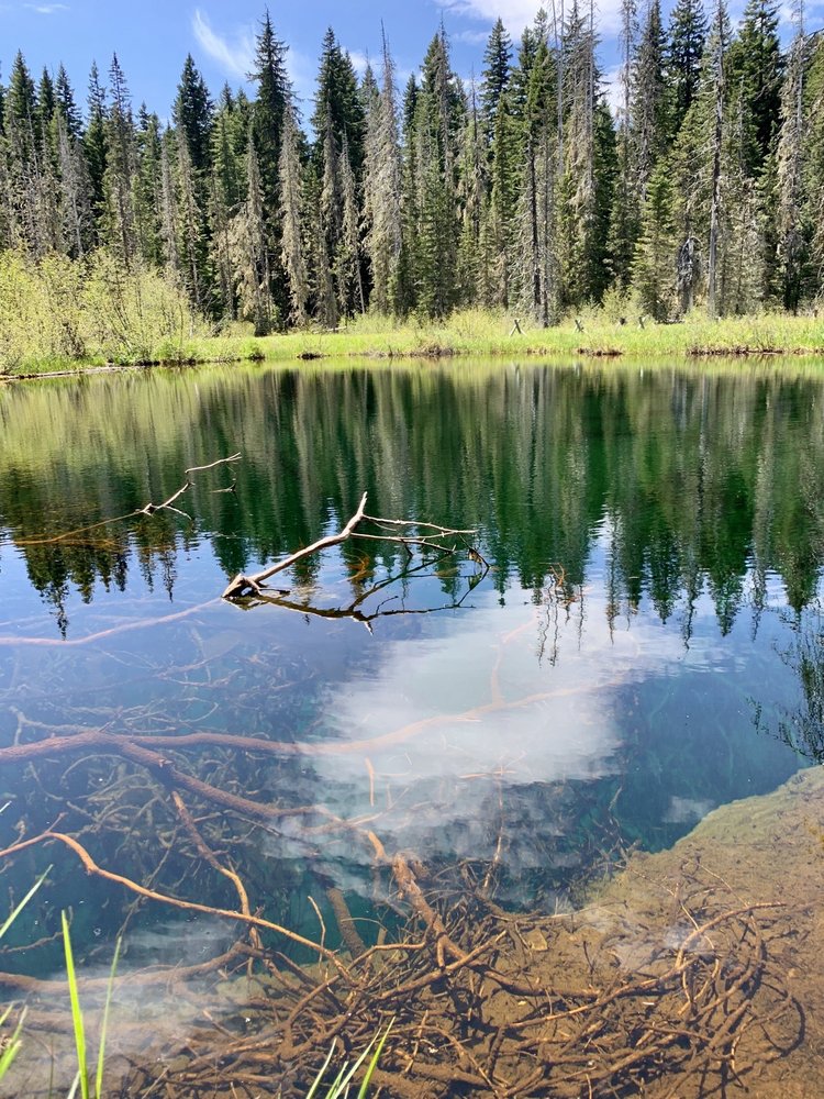 LITTLE CRATER LAKE CAMPGROUND - 18 Photos - Campgrounds - Primary ...