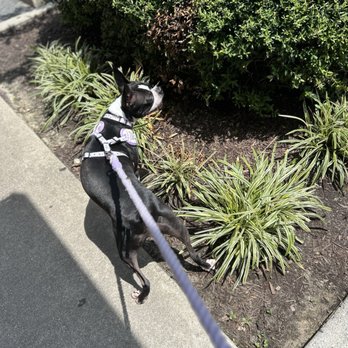 BIG UGLY BREWING - Updated December 2025 - 391 Photos & 148 Reviews ...