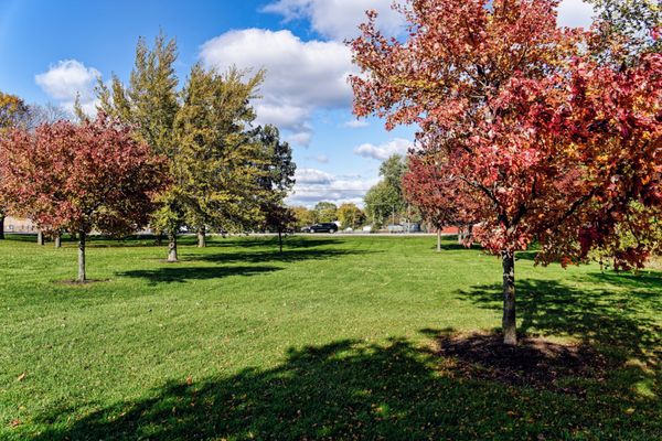 BEVIER PARK - 60 Photos - 2255 Wt Yorkhouse Rd, Waukegan, IL - Yelp