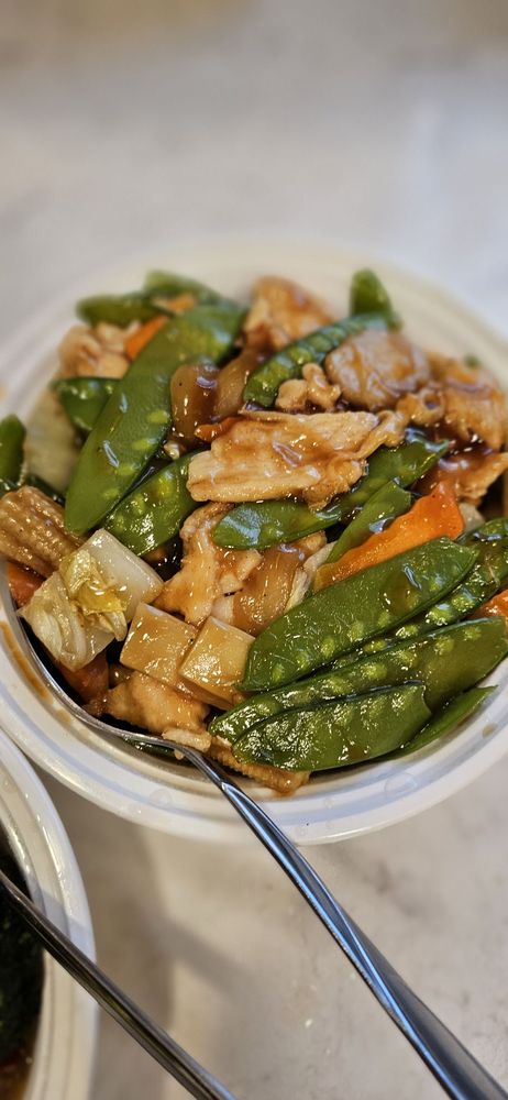 SPRING GARDEN - Updated December 2025 - 17 Photos & 61 Reviews - 1217 ...