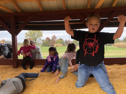 WAYSIDE FARM FUN - Updated October 2025 - 48 Photos & 16 Reviews - 5273 ...