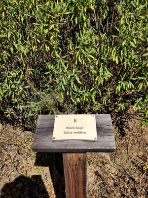 DALEY RANCH - Updated May 2024 - 404 Photos & 101 Reviews - Yelp