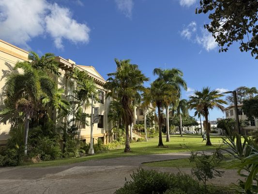 UNIVERSITY OF HAWAII AT MĀNOA - Updated April 2026 - 462 Photos & 132 ...