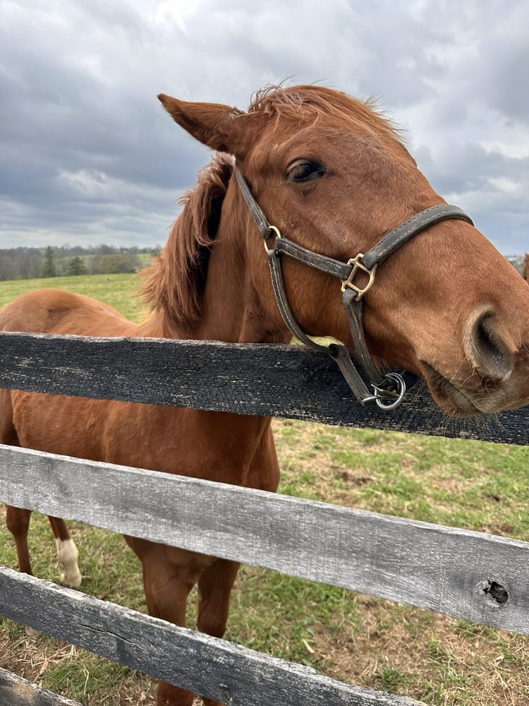 MILL RIDGE FARM - Updated October 2025 - 73 Photos & 16 Reviews - 2800 ...